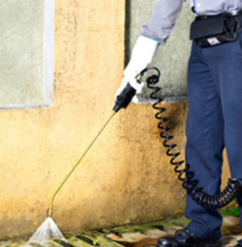 Sunshine Pest Control - Pest control service chandigarh, Mohali ...