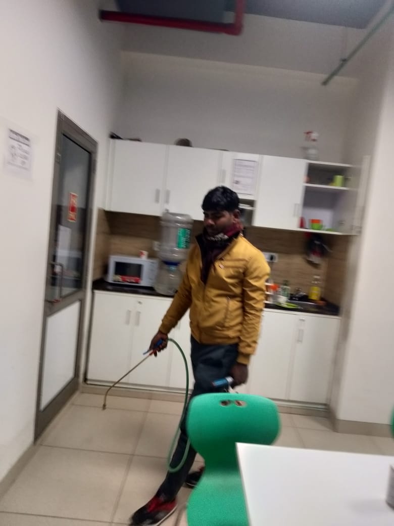 How to protect your home from termite?