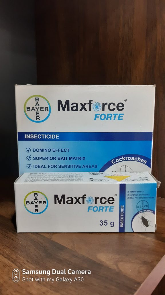 Pest Control Products | Shop - MAXFORCE FORTE - Tricity