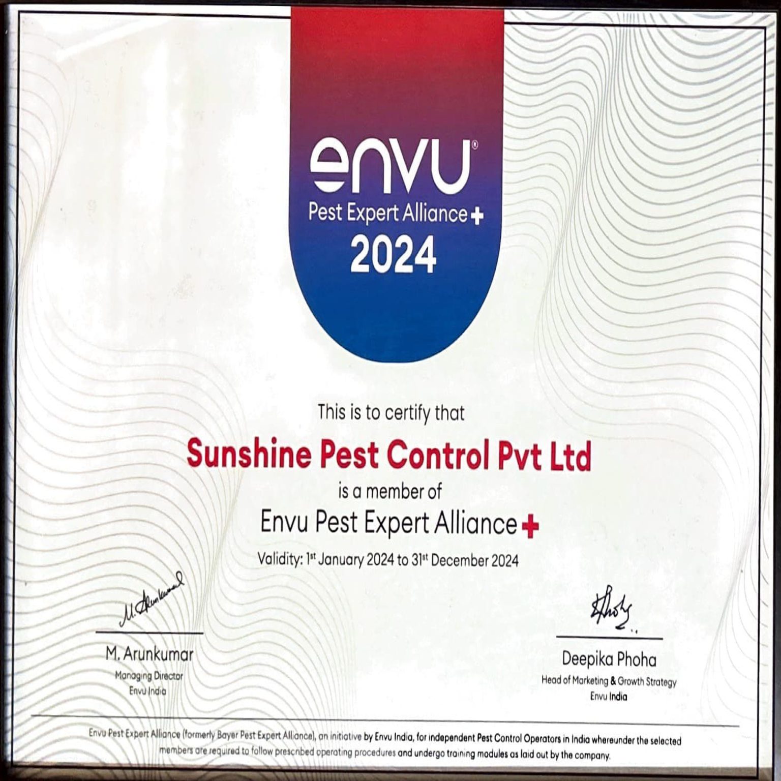 Best Pest Control Services Near You | Safe & Effective