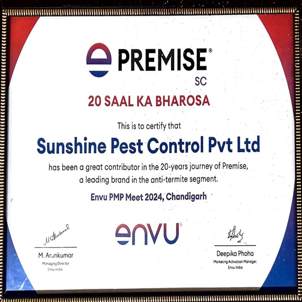 Best Pest Control Services Near You | Safe & Effective